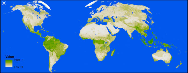 Environmental Values – Global Road Map
