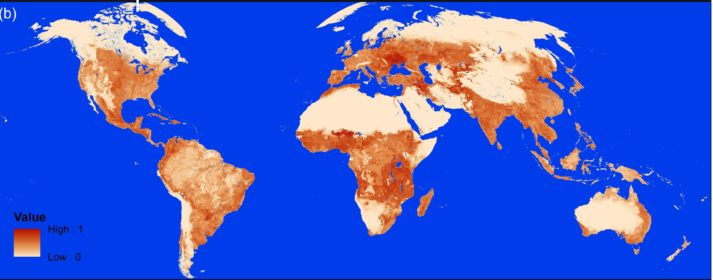 Road Benefits – Global Road Map