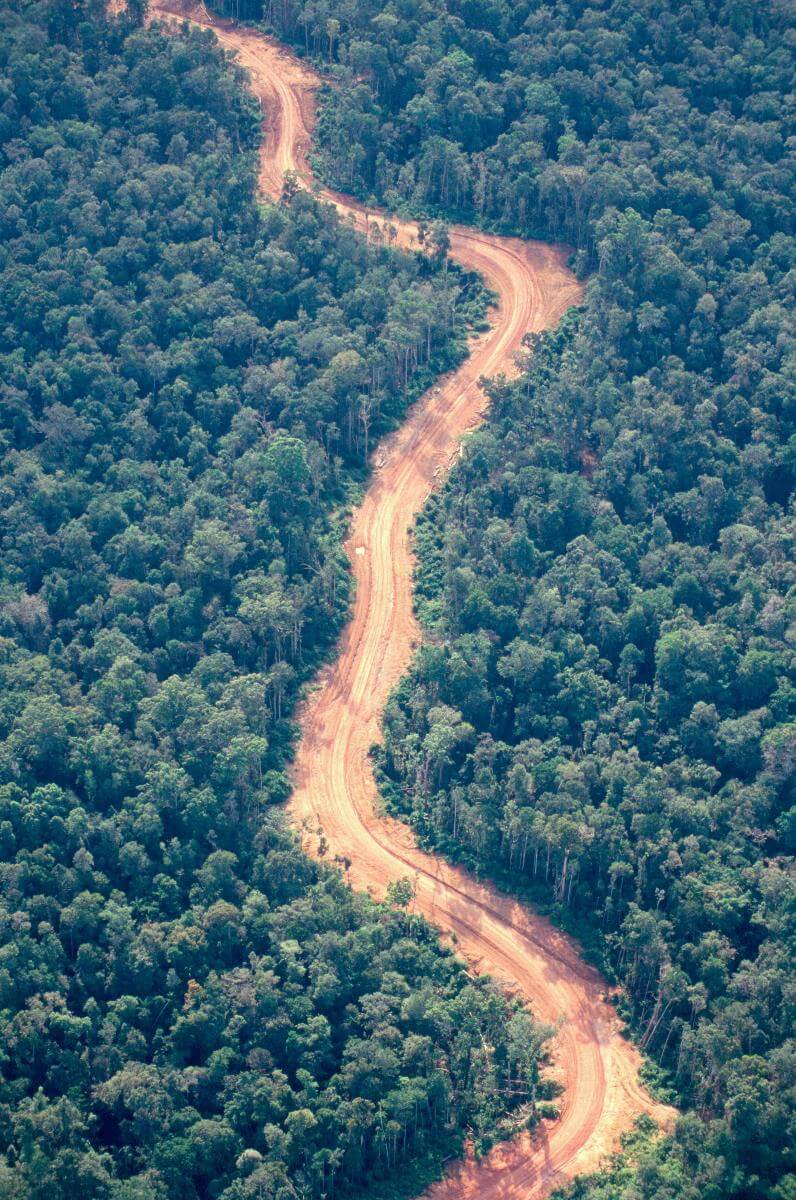 Global Road Map – A strategic approach for advancing nature and ...