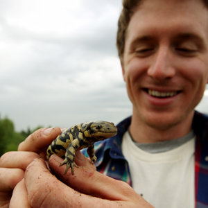 The Laurance Lab Alumni – Global Road Map